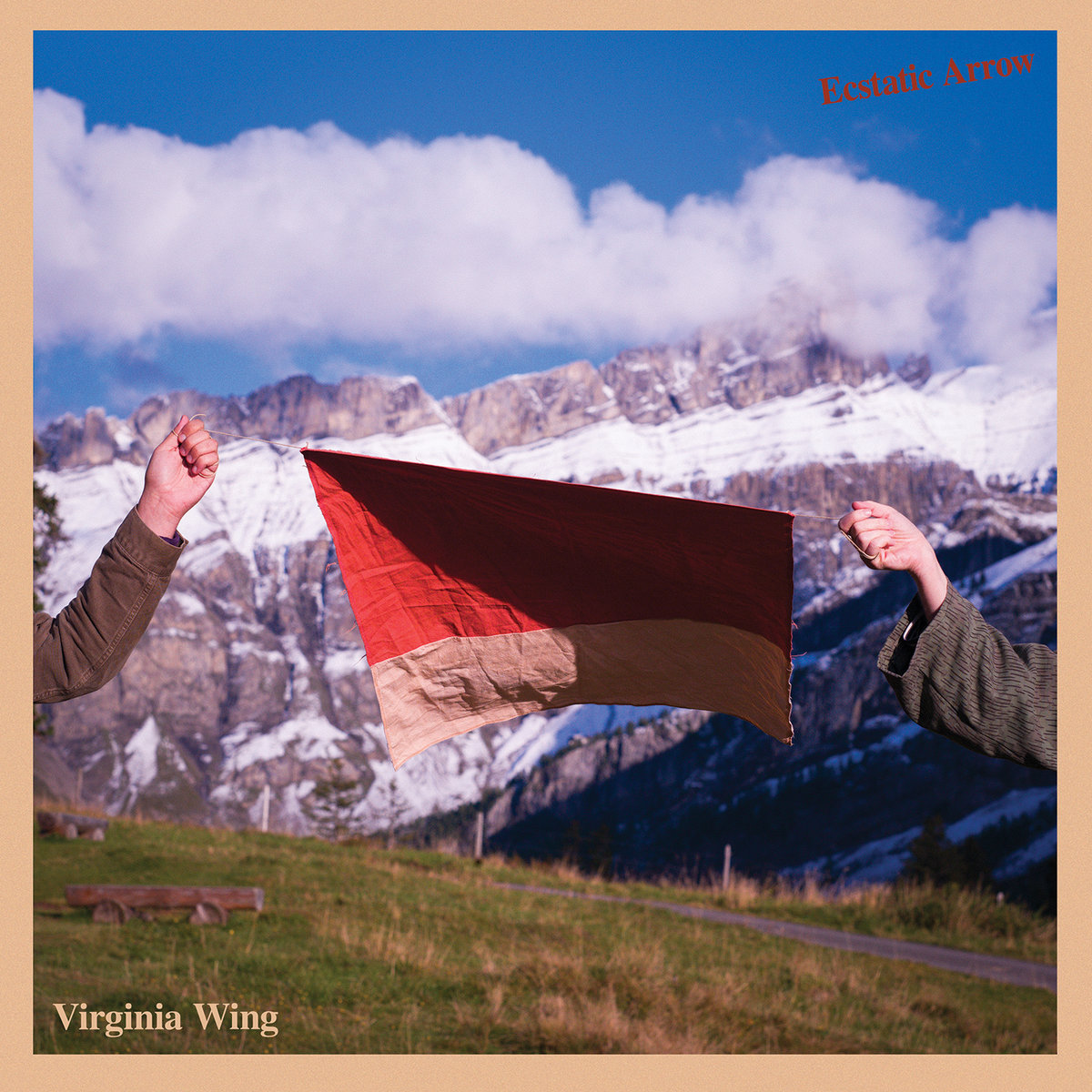 Virginia Wing, une flèche en plein coeur | Addict Culture