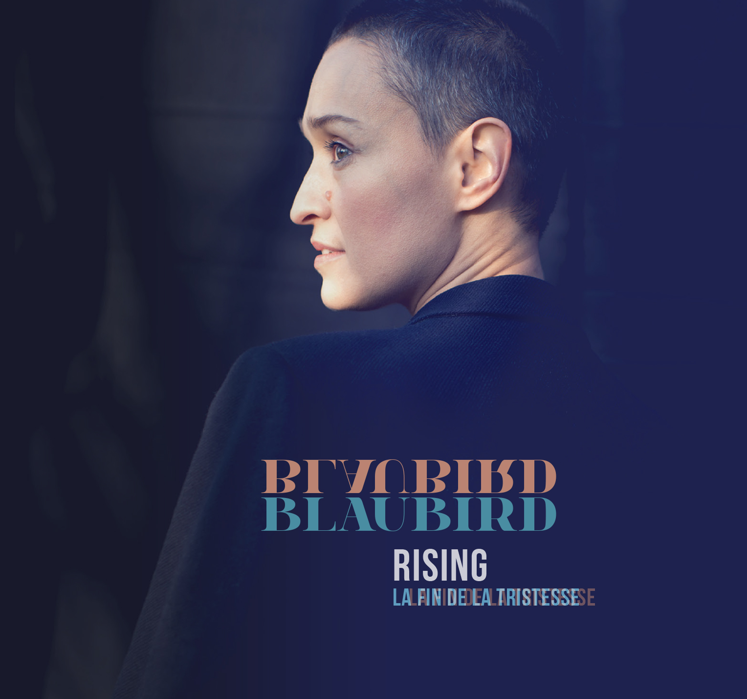 BlauBird prend son envol | Addict Culture