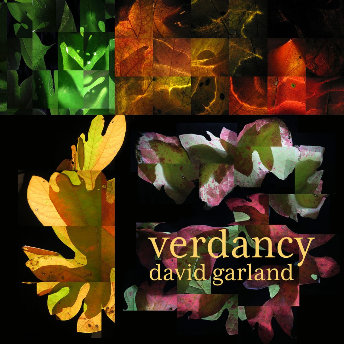 Verdancy, quand la nature reprend ses droits | Addict Culture