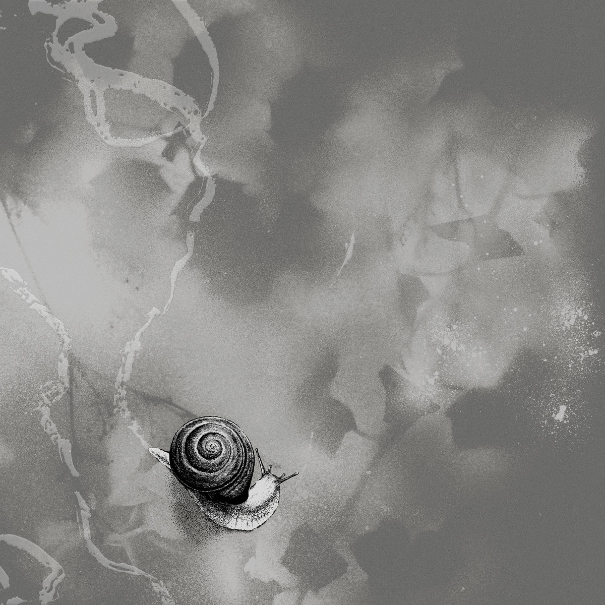 Rats on rafts profondeurs monochromes | Addict Culture